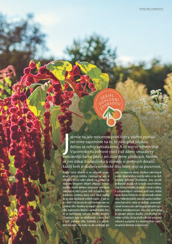 Magazín Florenium Léto 2026 : Novinka - Zahradnictví Chládek